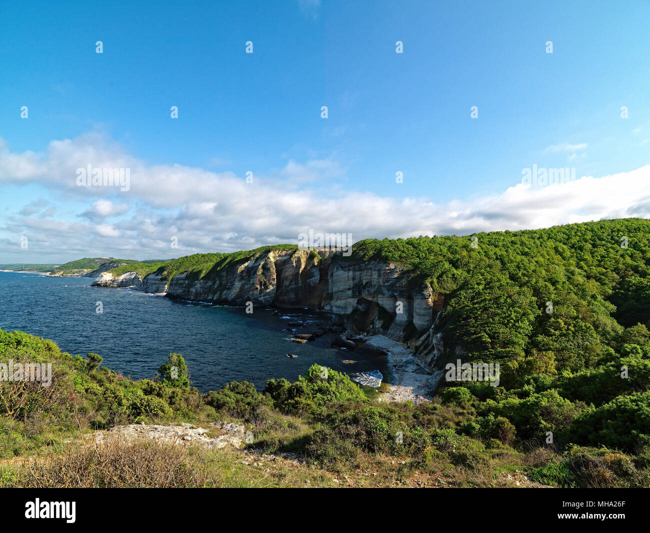 Beautiful forest view hi-res stock photography and images - Alamy