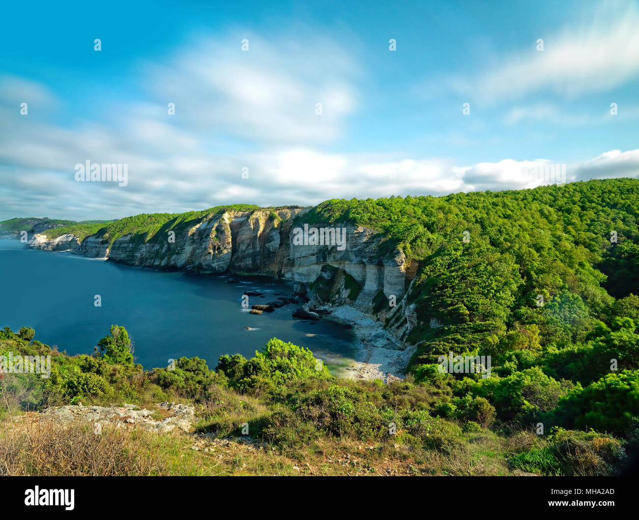 Outdoor sea view tree hi-res stock photography and images - Alamy