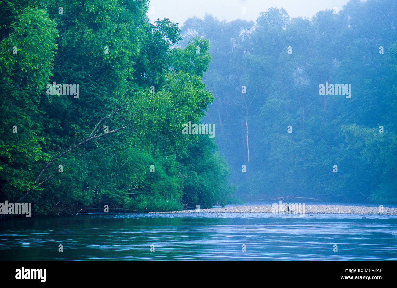Bikin river valley hi-res stock photography and images - Alamy