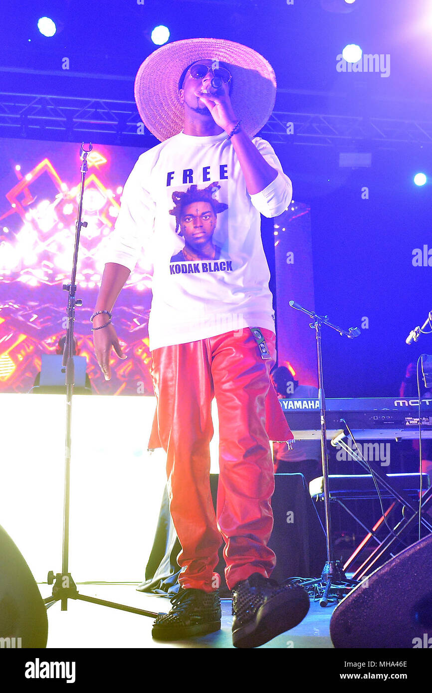 Broward College Seahawk Festival, brought to you by Brightline®, held ...