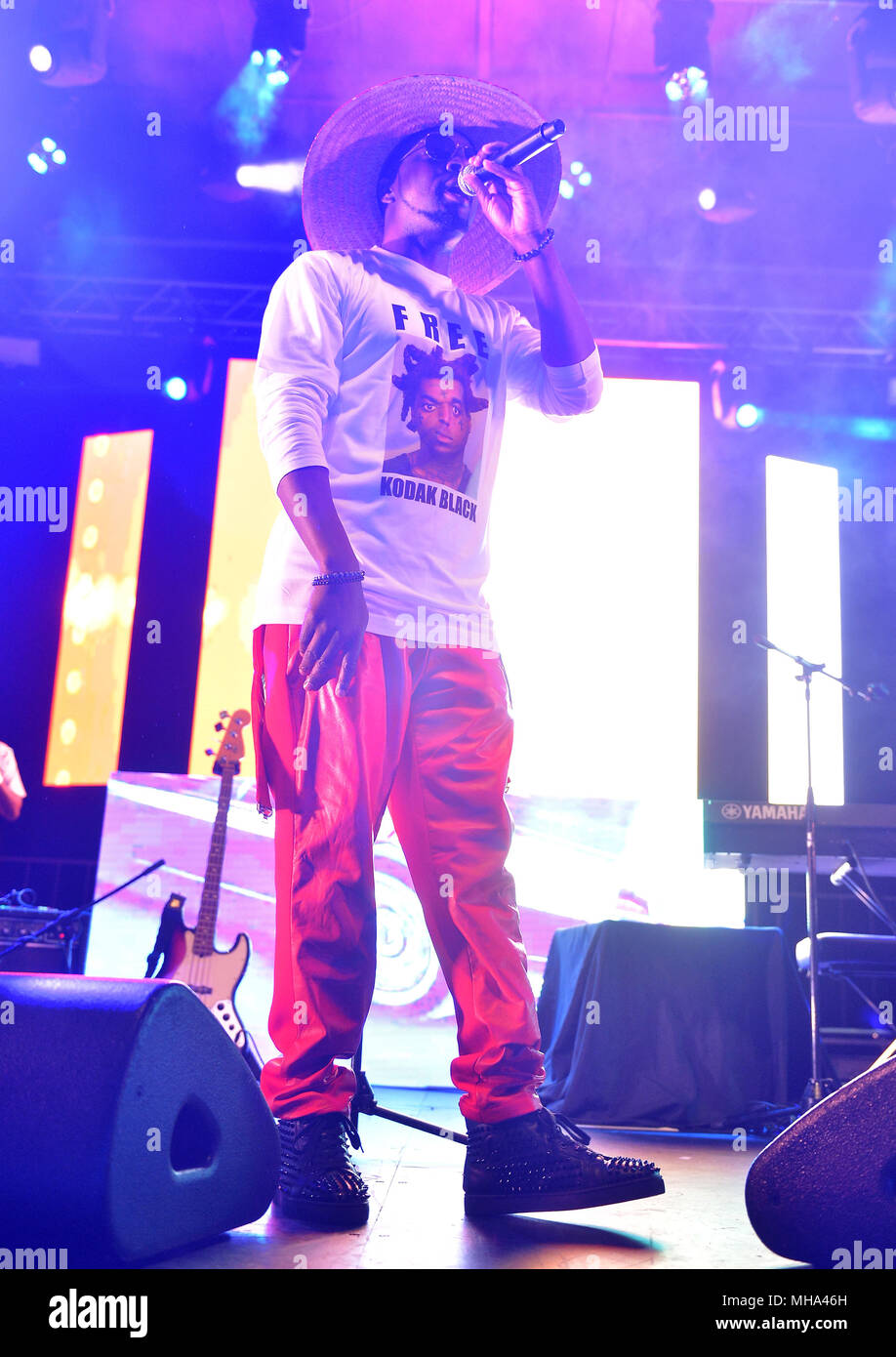 Broward College Seahawk Festival, brought to you by Brightline®, held ...