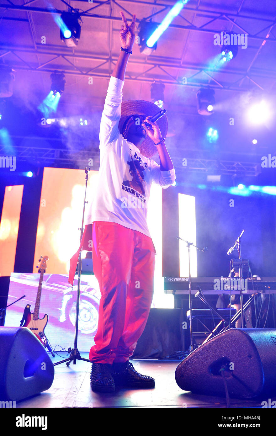 Broward College Seahawk Festival, brought to you by Brightline®, held ...