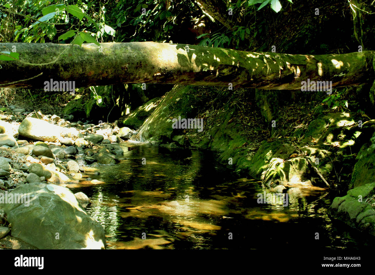Ponte sobre o rio Stock Photo - Alamy