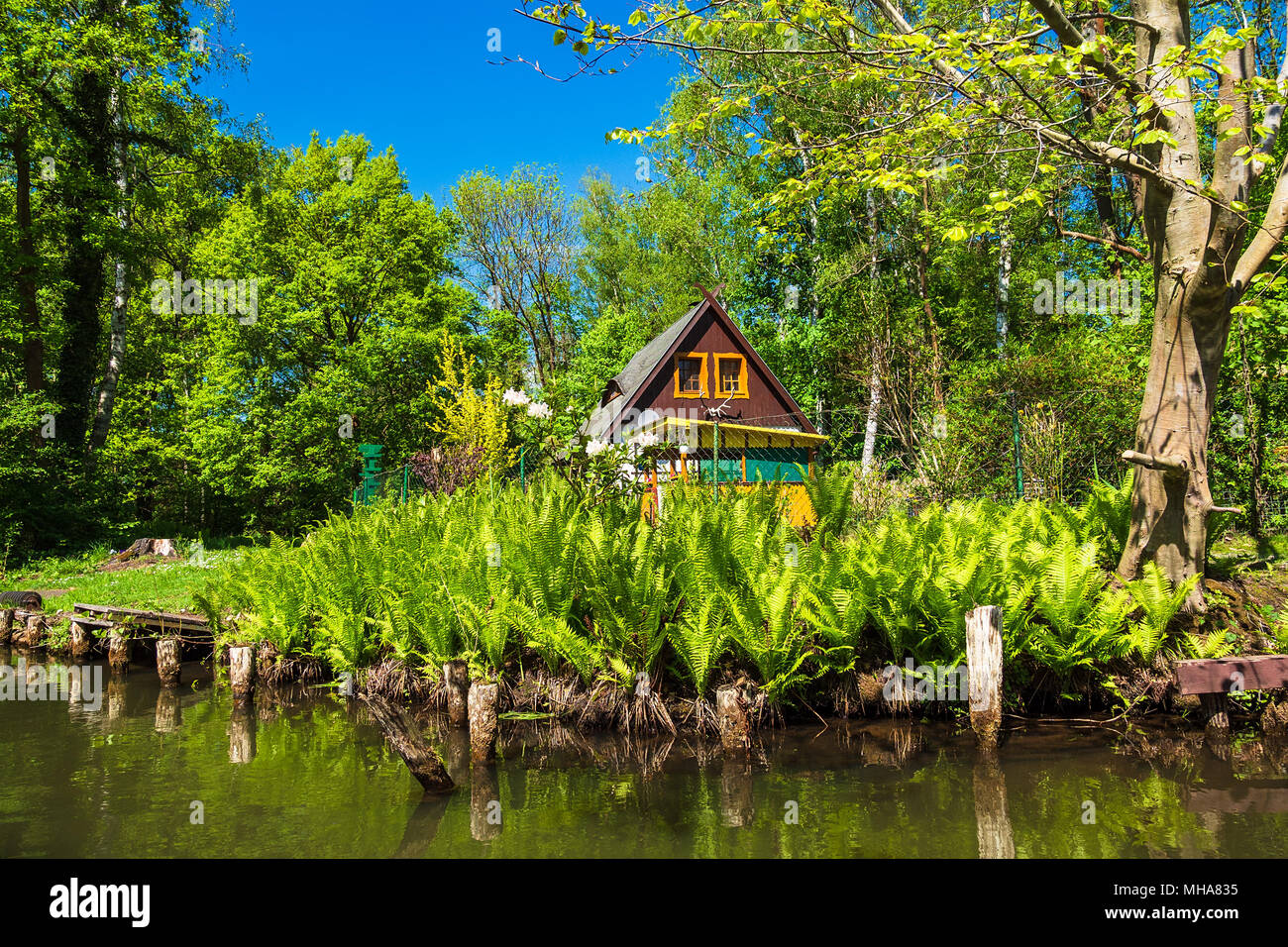 Landscape with cottage in the Spreewald area, Germany Stock Photo - Alamy