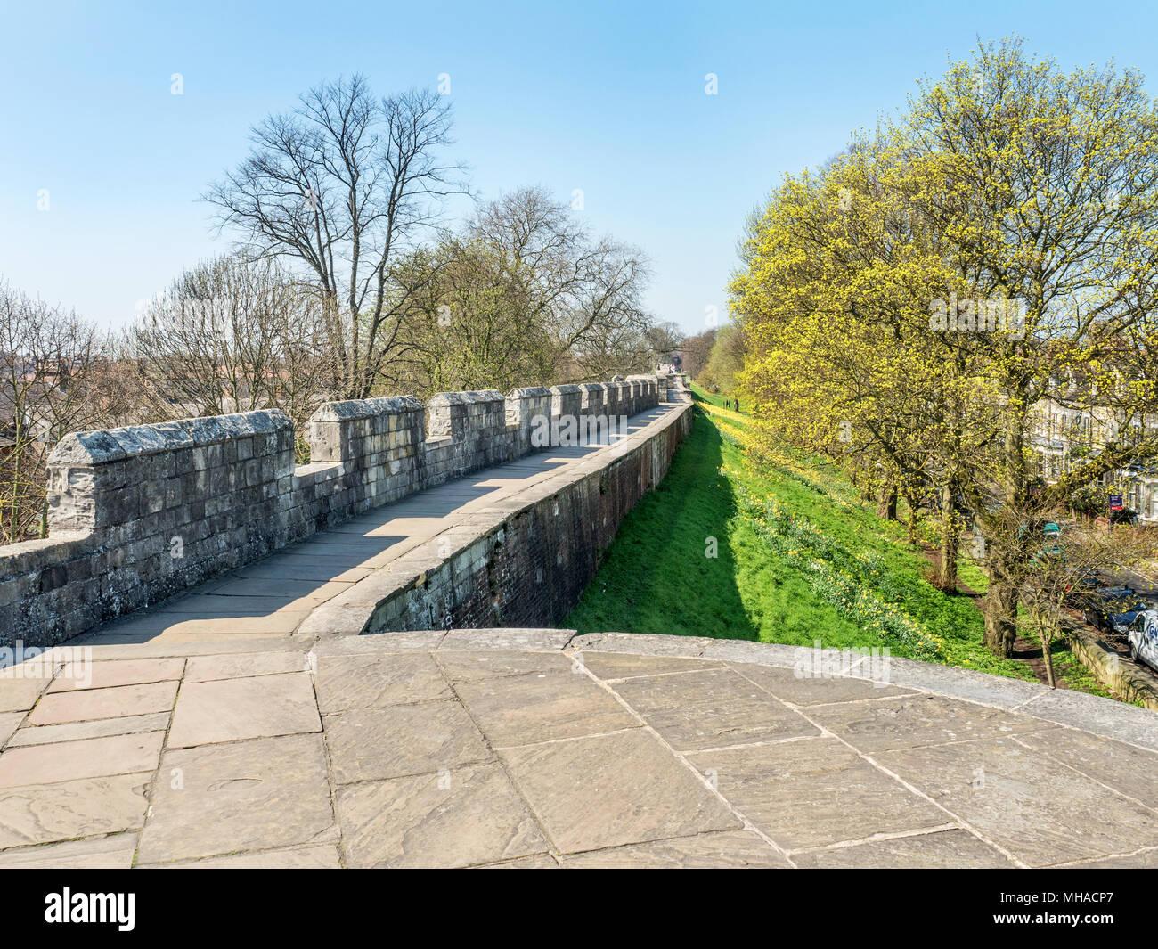 Victoria bar hi-res stock photography and images - Alamy