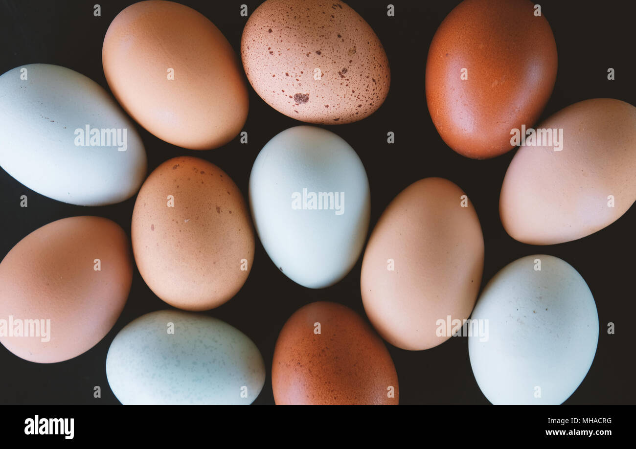 Flat lay collection of cage free farm chicken eggs in detail. Shows ...