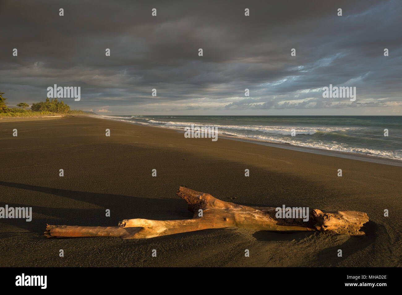 Carate Beach, Corcovado National Park, Costa Rica, Centroamerica Stock ...