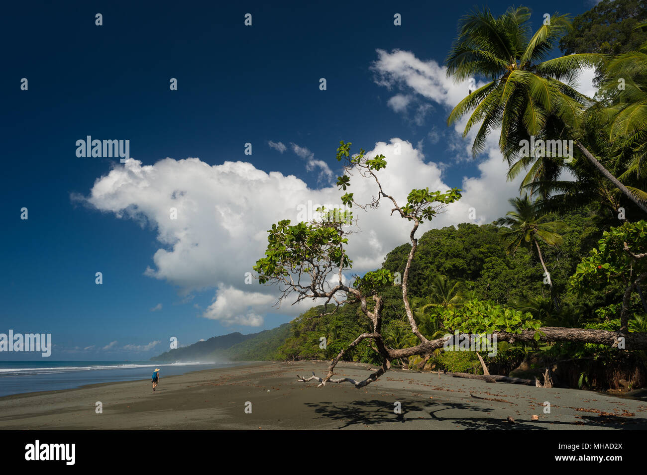Carate Beach, Corcovado National Park, Costa Rica, Centroamerica Stock ...