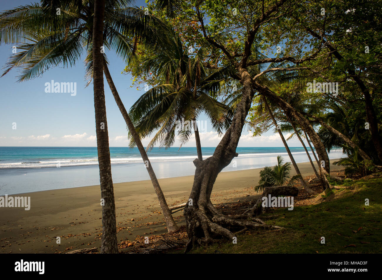 Carate Beach, Corcovado National Park, Costa Rica, Centroamerica Stock ...