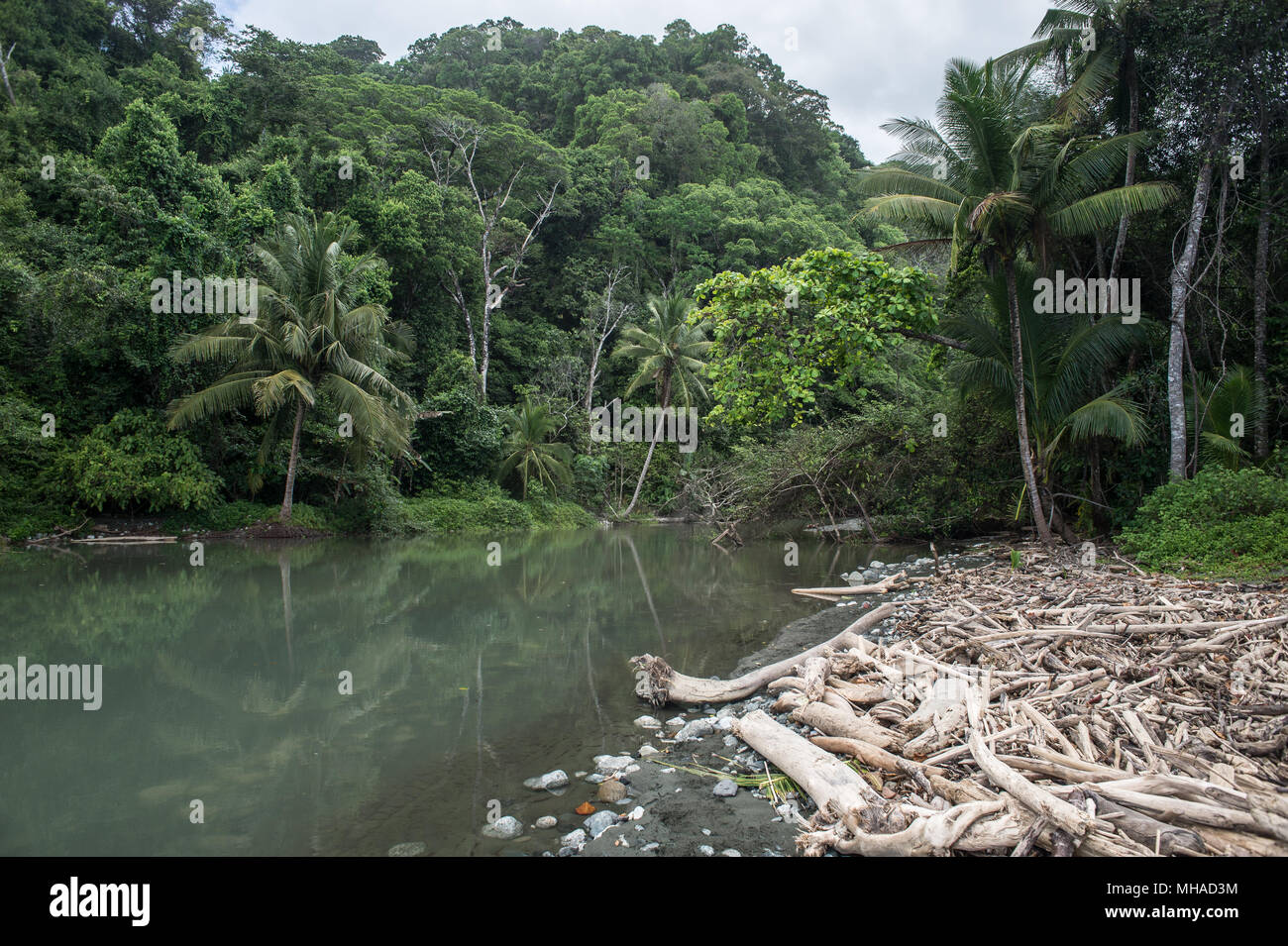 Carate Beach, Corcovado National Park, Costa Rica, Centroamerica Stock ...
