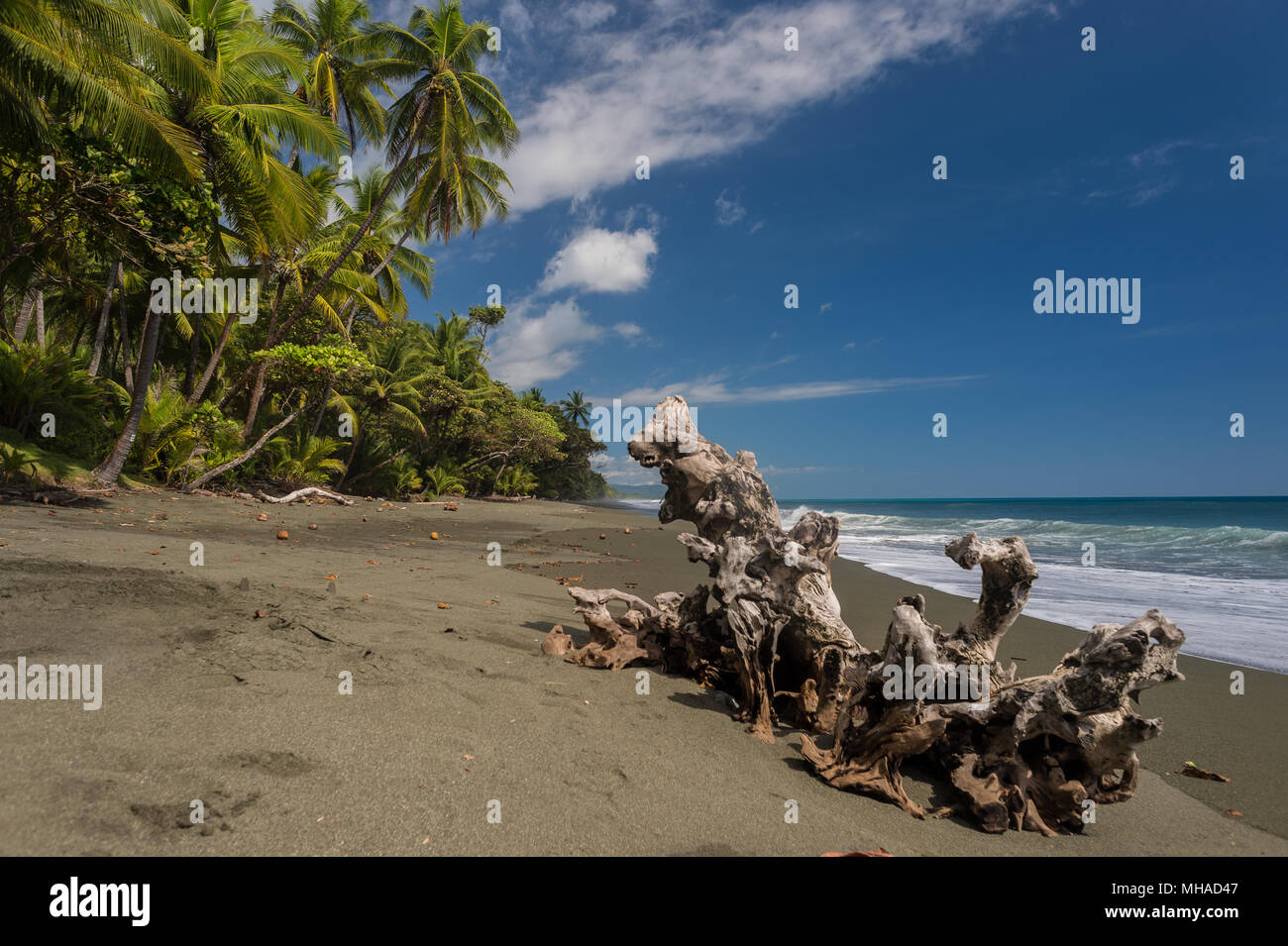 Carate Beach, Corcovado National Park, Costa Rica, Centroamerica Stock ...