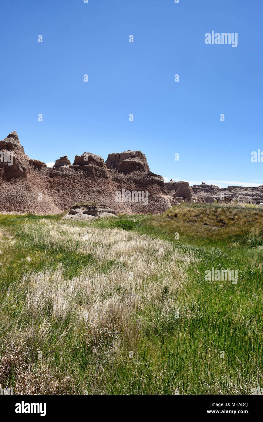 Prairie Grass and Pinacles at Badlands National Park, in South Dakota ...