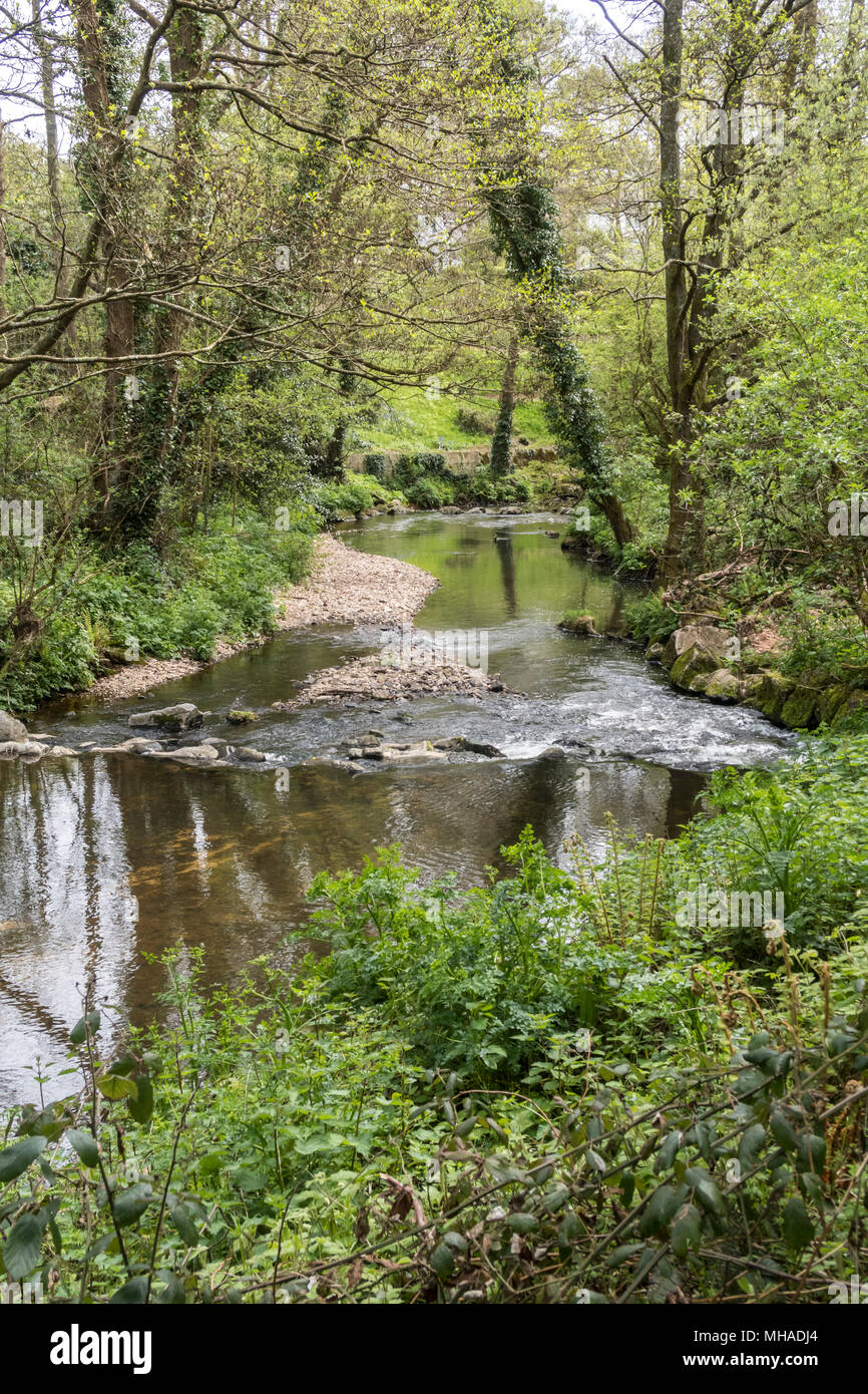 Shortest river hi-res stock photography and images - Alamy