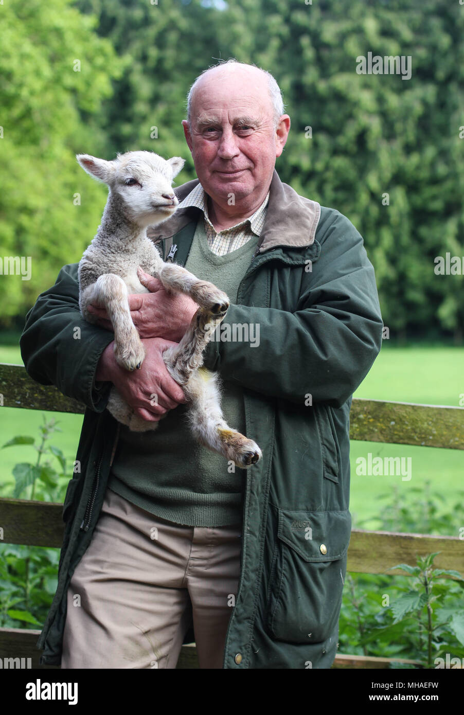 Cuddling a lamb hi-res stock photography and images - Alamy