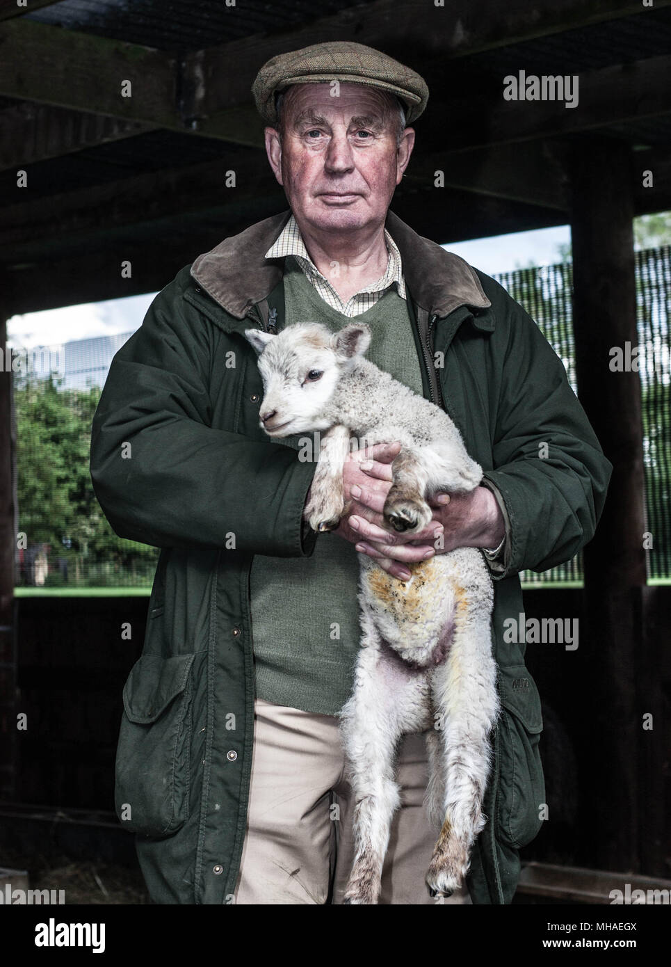 Farmer holding a lamb hi-res stock photography and images - Alamy