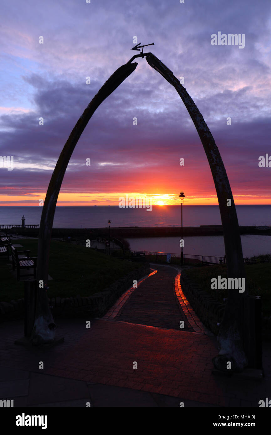 Whitby whale bones hi-res stock photography and images - Alamy