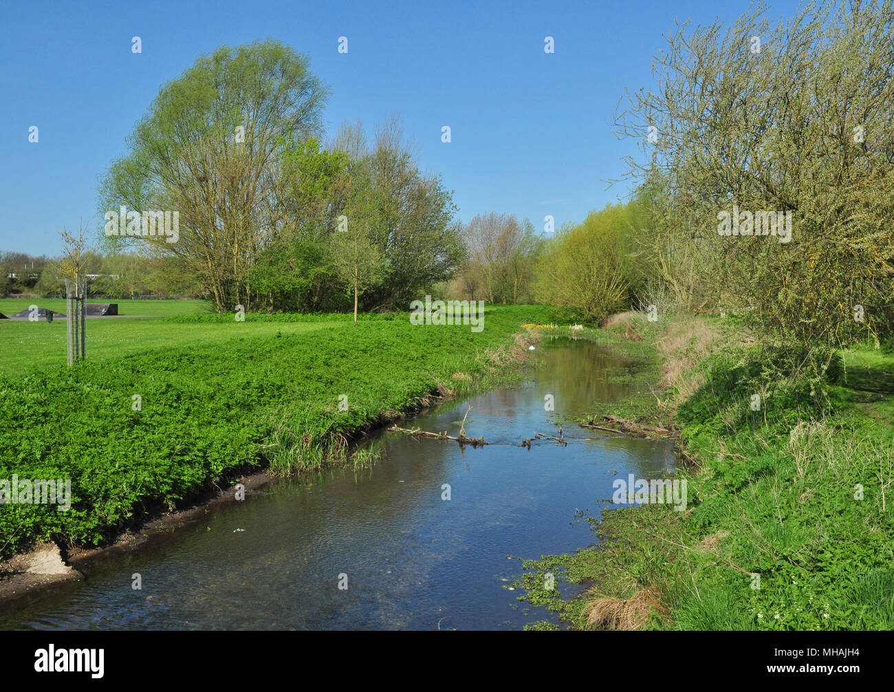 River Purwell alongside Walsworth Common, Hitchin, Hertfordshire ...