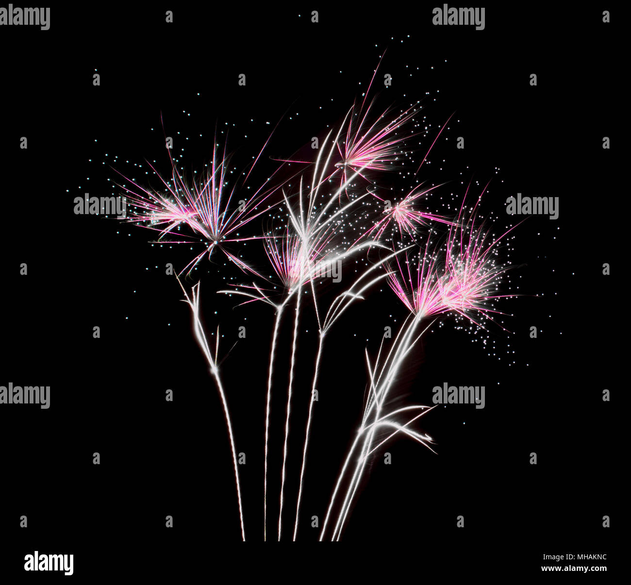 Fireworks exploding into colors of pink, purple and white Stock Photo ...