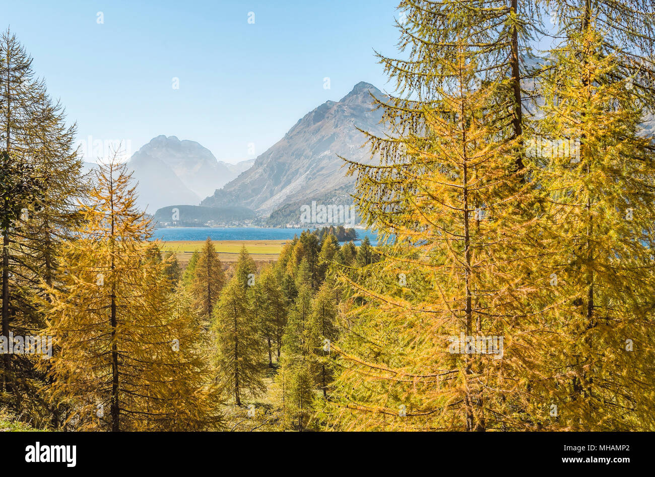 Autumn landscape, Lake Sils, Upper Engadin, Switzerland Stock Photo - Alamy