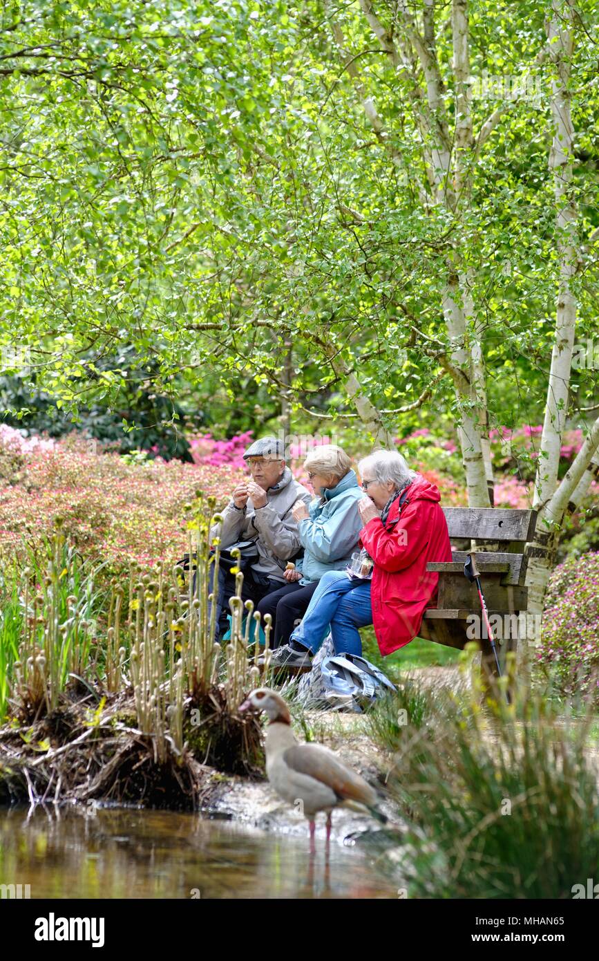 Three elderly people sitting on seat enjoying a sunny spring day in the ...