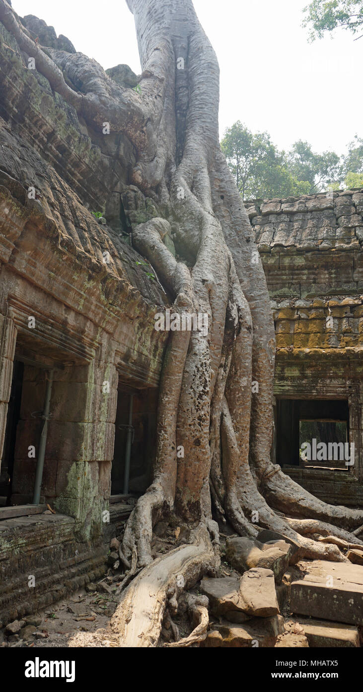 ancient temple complex of ankgor wat in cambodia Stock Photo - Alamy