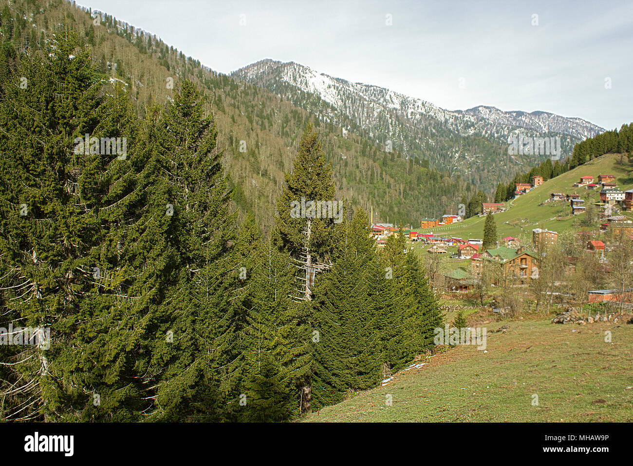 Nature of Ayder plateau Stock Photo - Alamy