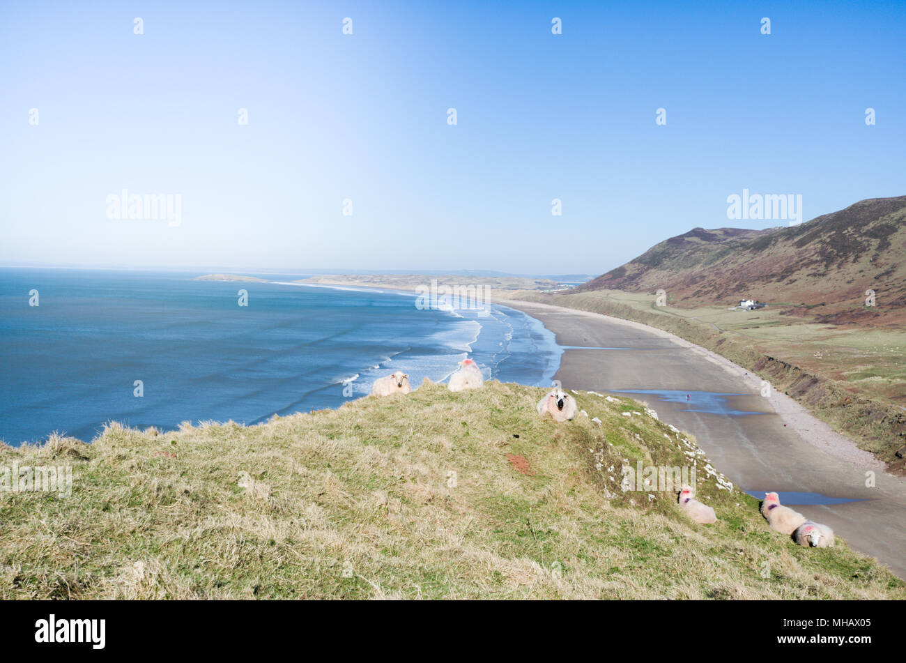 Rhossili Bay / The beach at Rhossili Bay viewed from the cliff top on ...