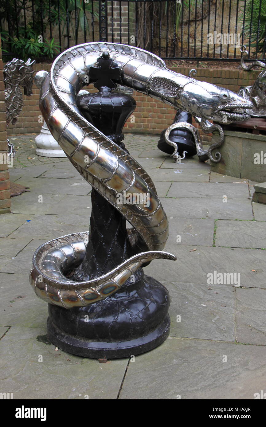 Conga eel stainless steel hi-res stock photography and images - Alamy