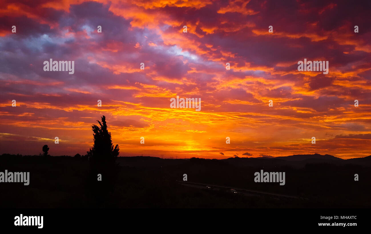 Orange family tree hi-res stock photography and images - Alamy