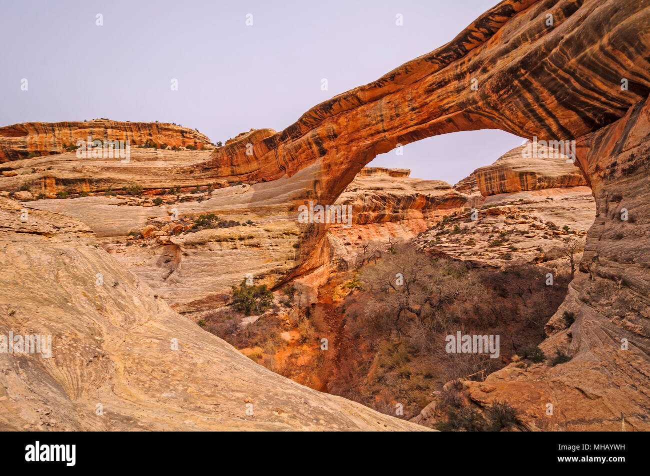 Natural bridges national monument hi-res stock photography and images ...