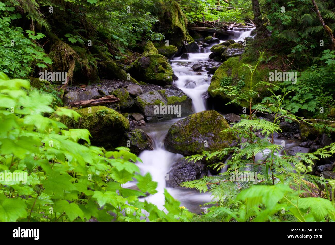Mountain Stream 1 Stock Photo - Alamy