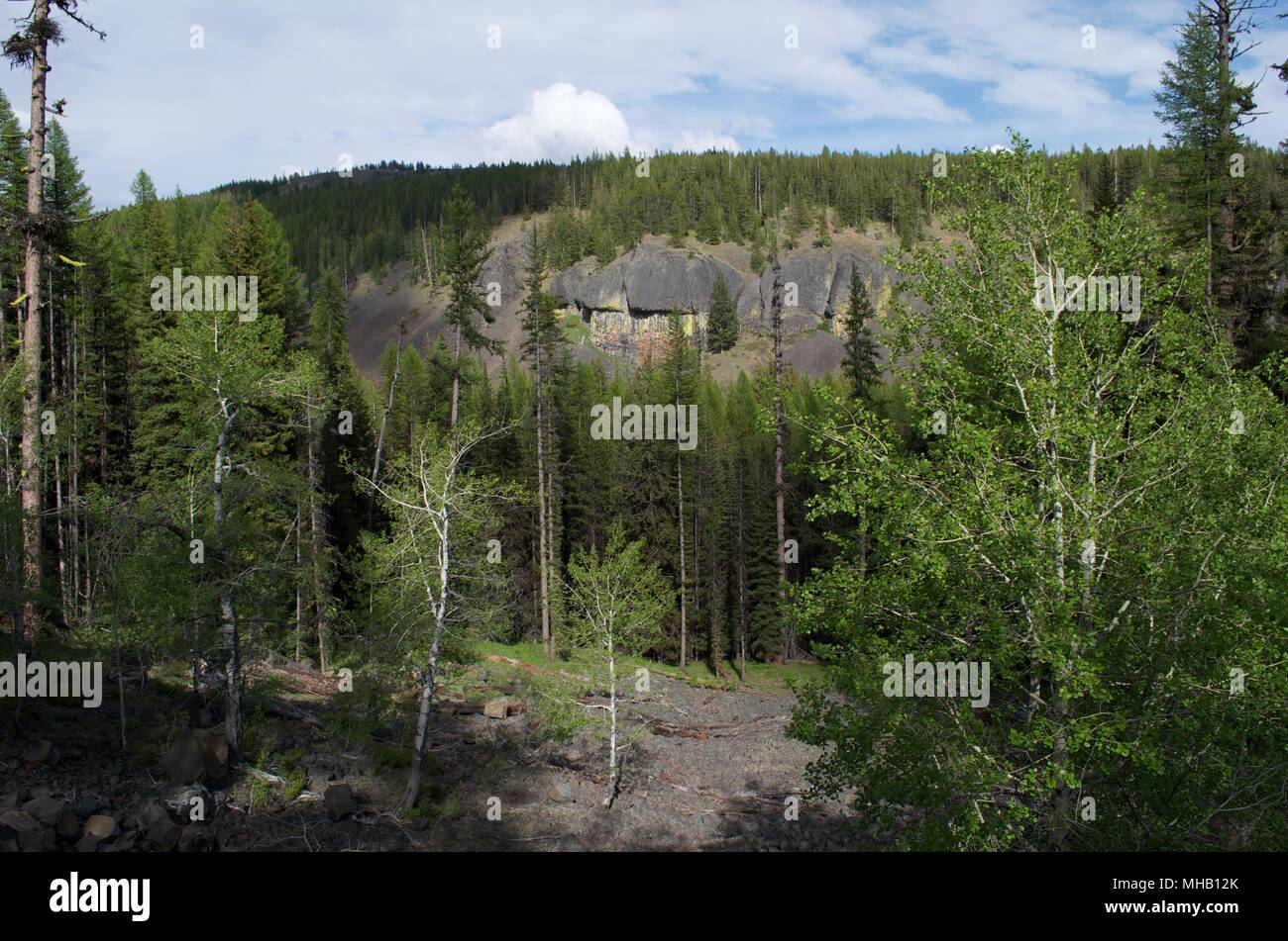 Rock creek forest fire hi-res stock photography and images - Alamy