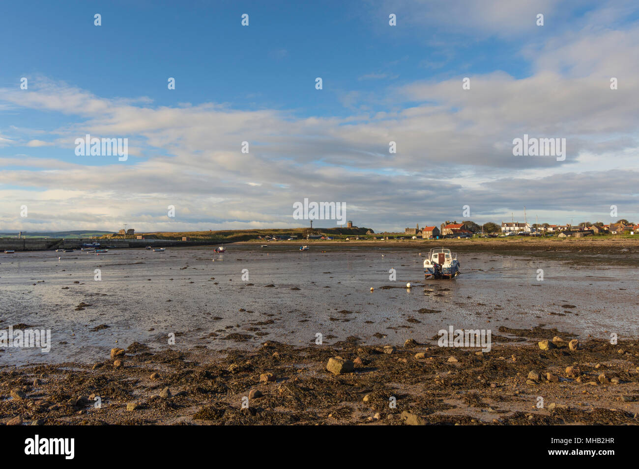Holy island harbour hi-res stock photography and images - Alamy