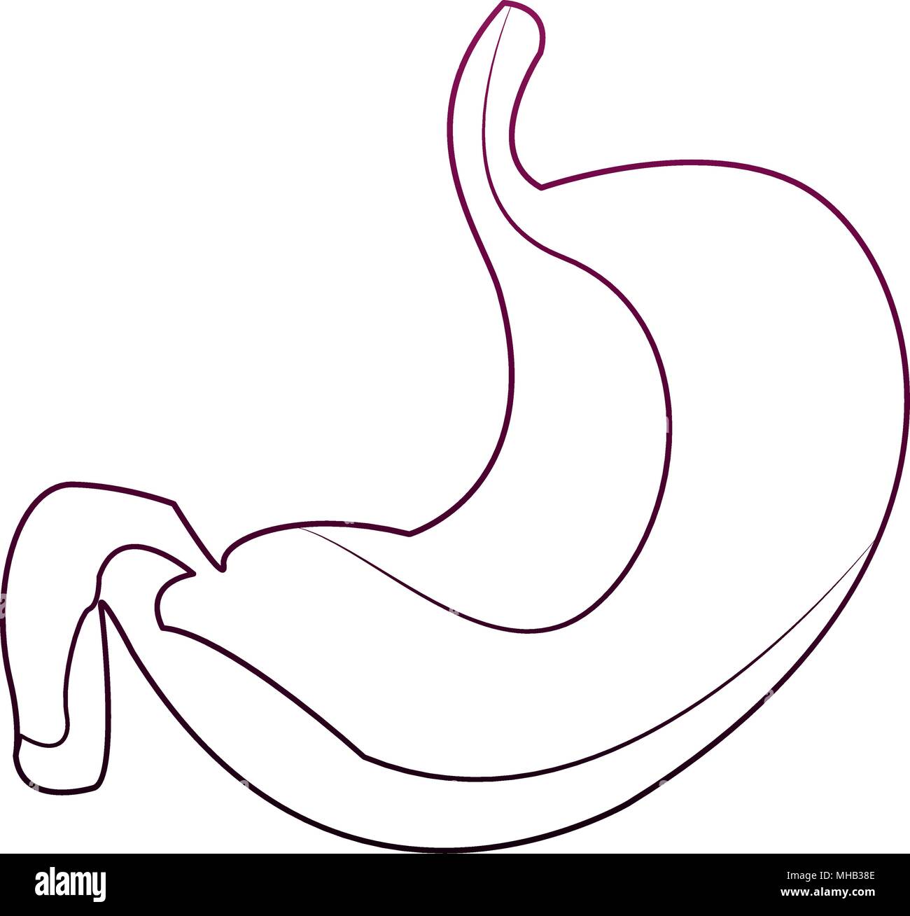Purple abdomen Stock Vector Images - Alamy