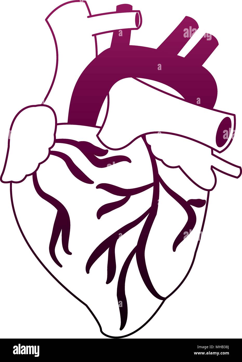 Human earth organ on purple lines Stock Vector Image & Art - Alamy