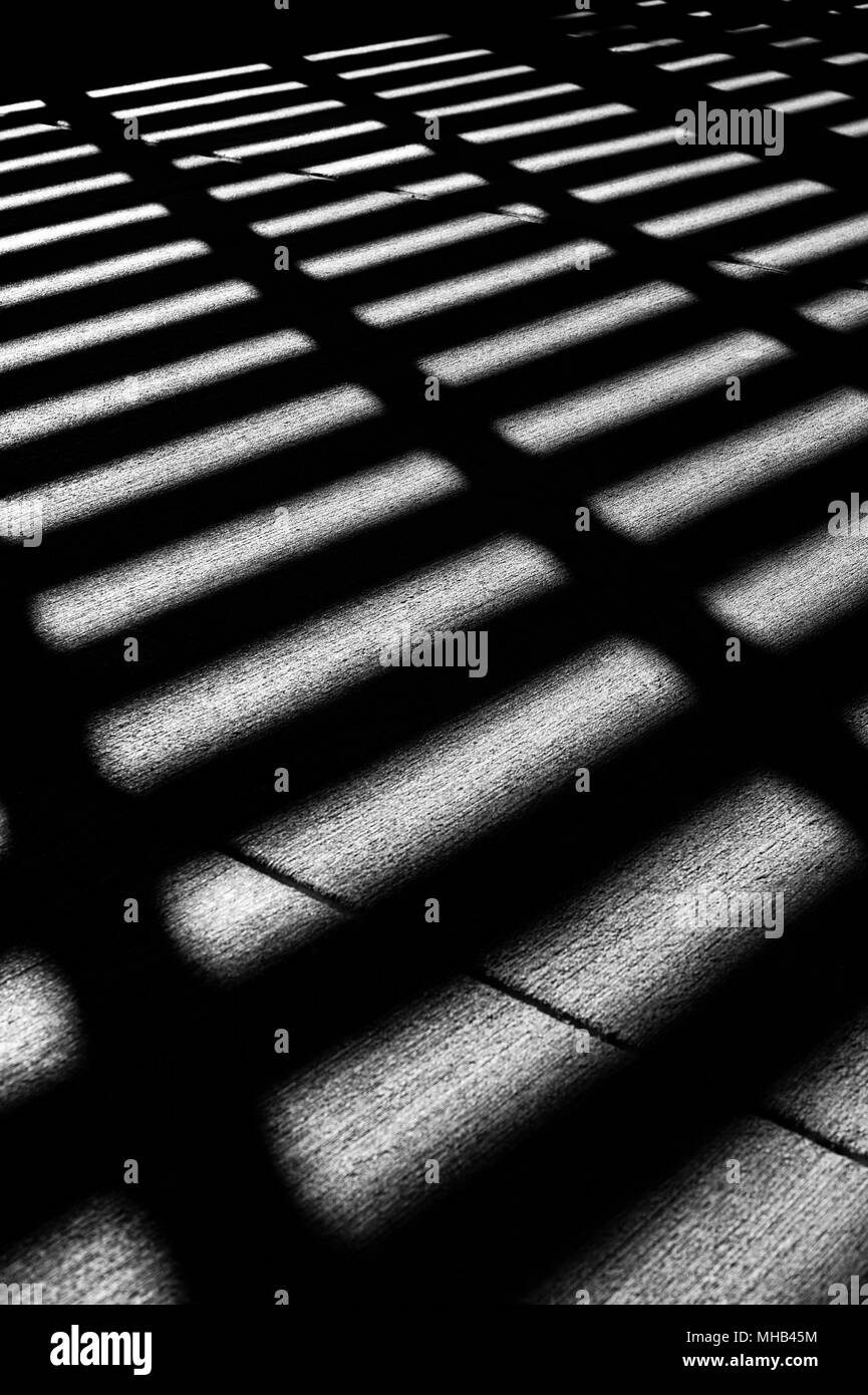 Geometric Shadow Photography