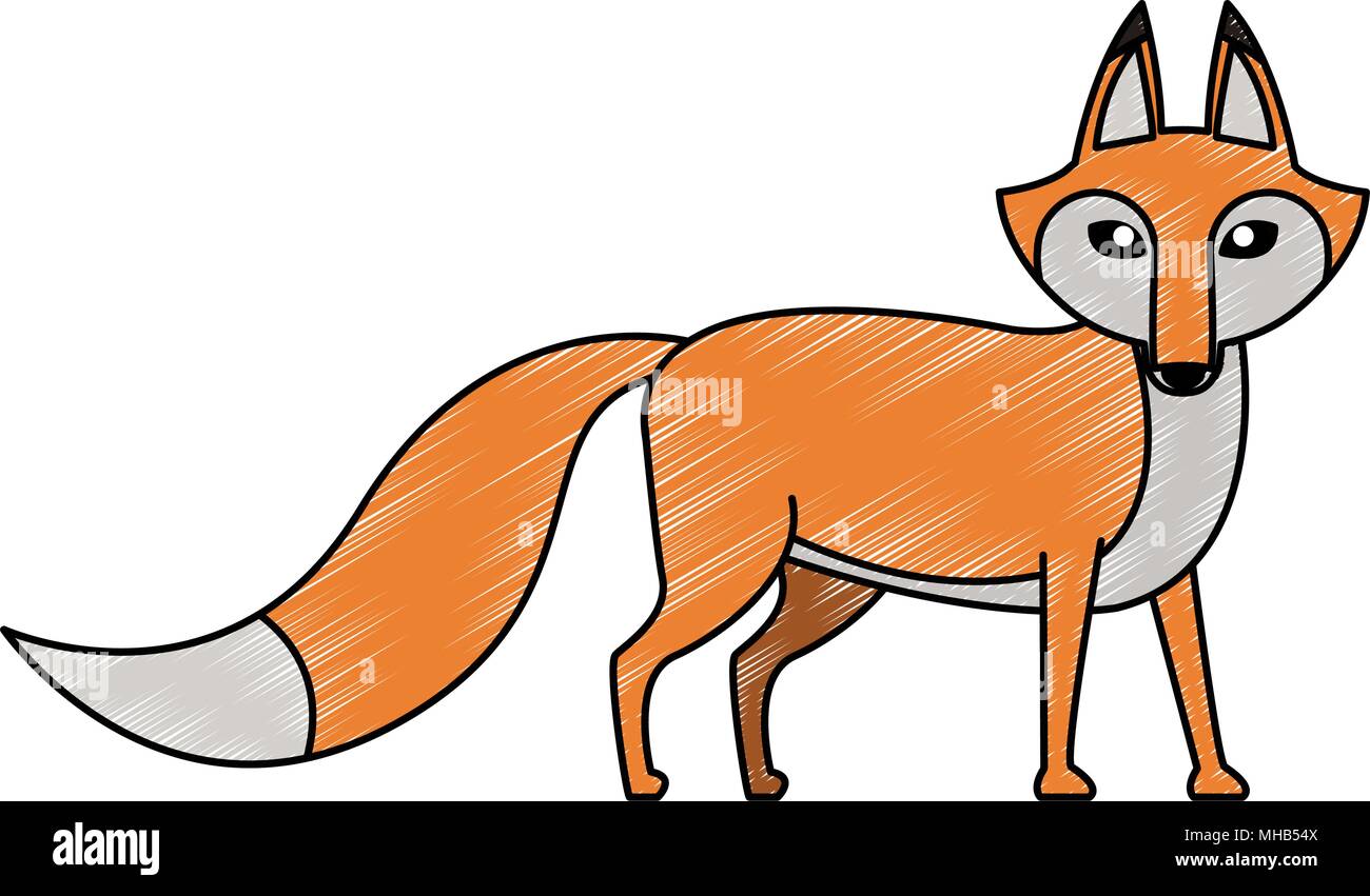 Fox wild animal scribble Stock Vector Image & Art - Alamy