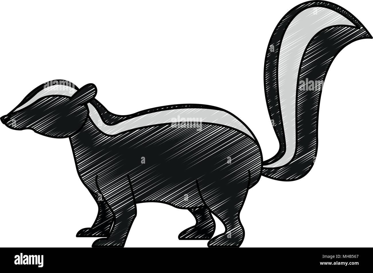 Skunk wild animal scribble Stock Vector Image & Art - Alamy