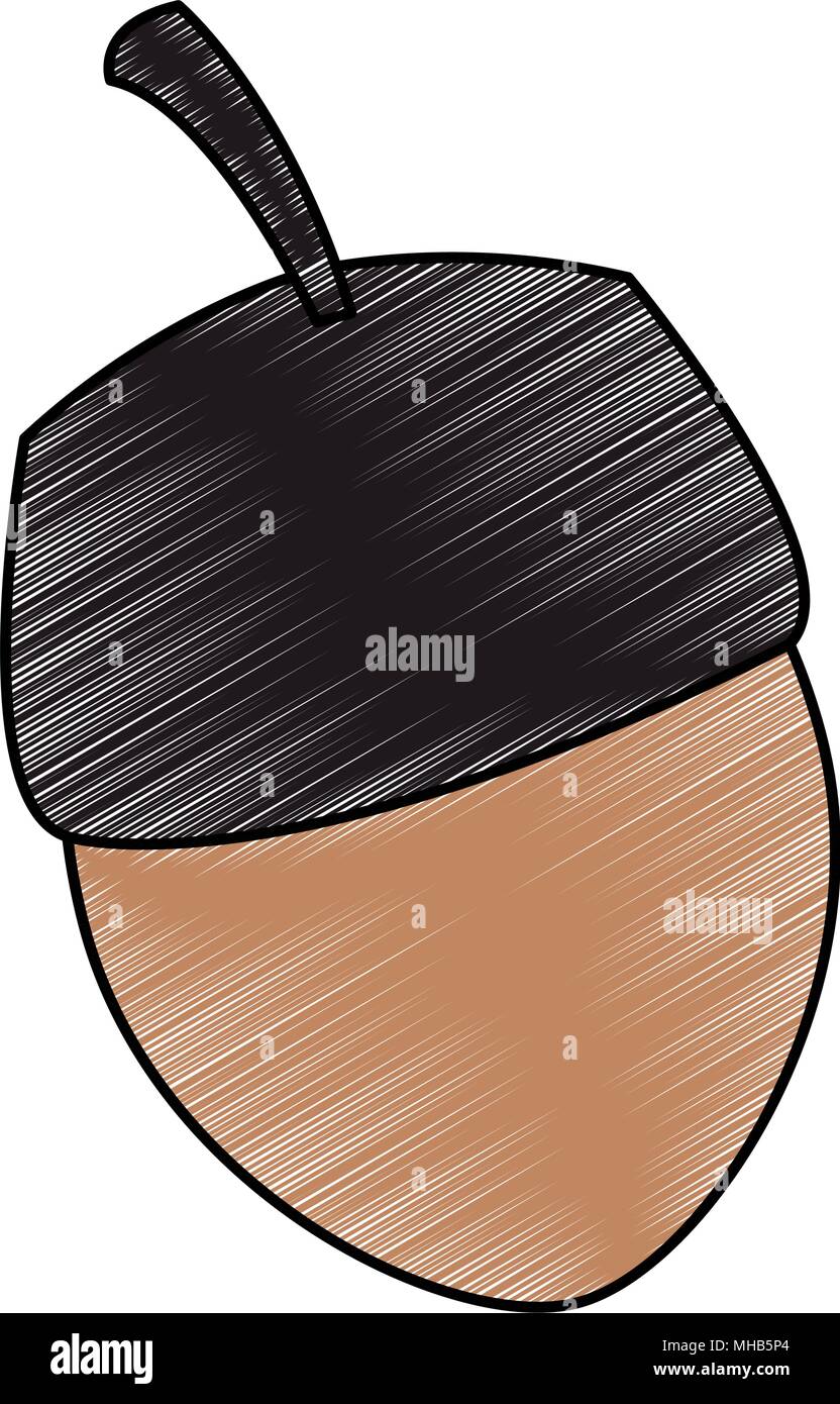 Nut food symbol scribble Stock Vector Image & Art - Alamy