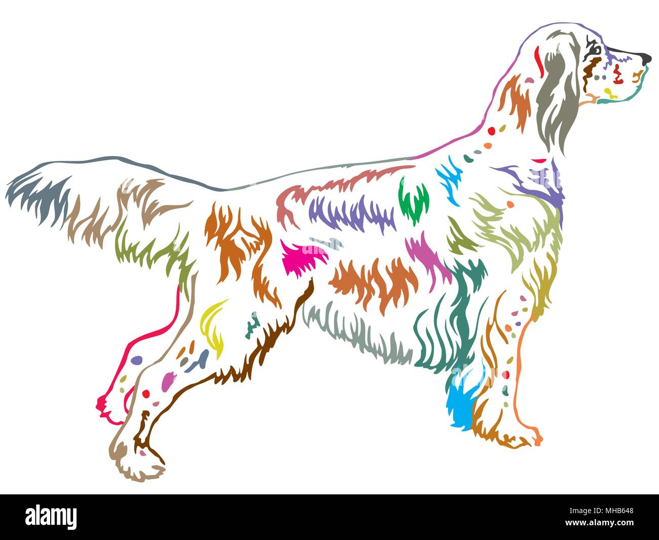 English setter Cut Out Stock Images & Pictures - Alamy