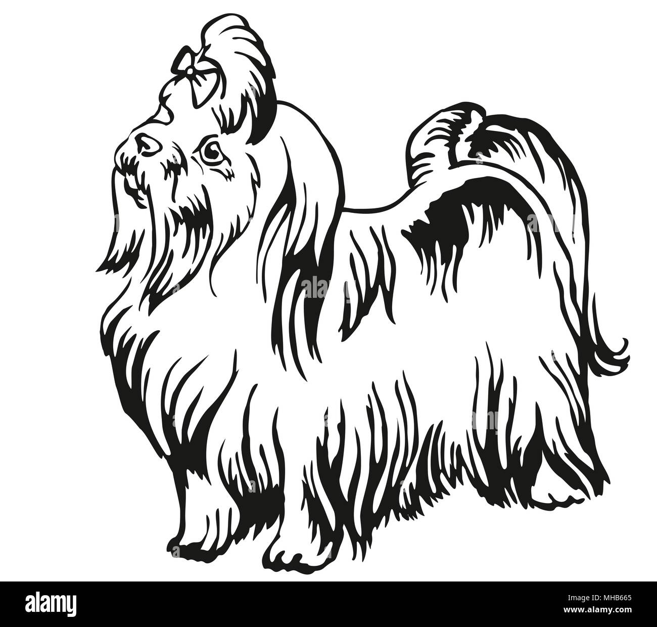 Maltese dog Stock Vector Images - Alamy
