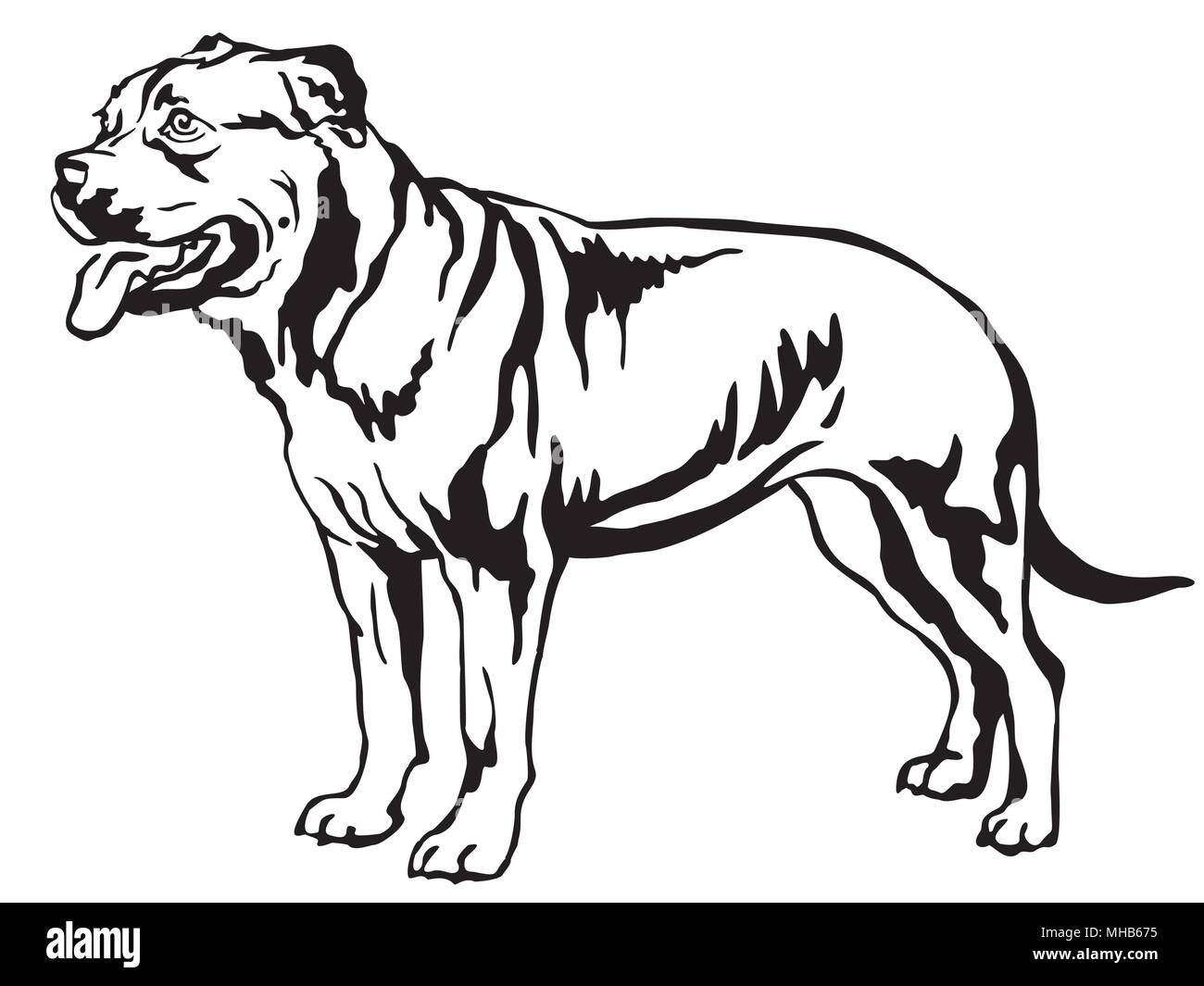 Animal de color Stock Vector Images - Alamy