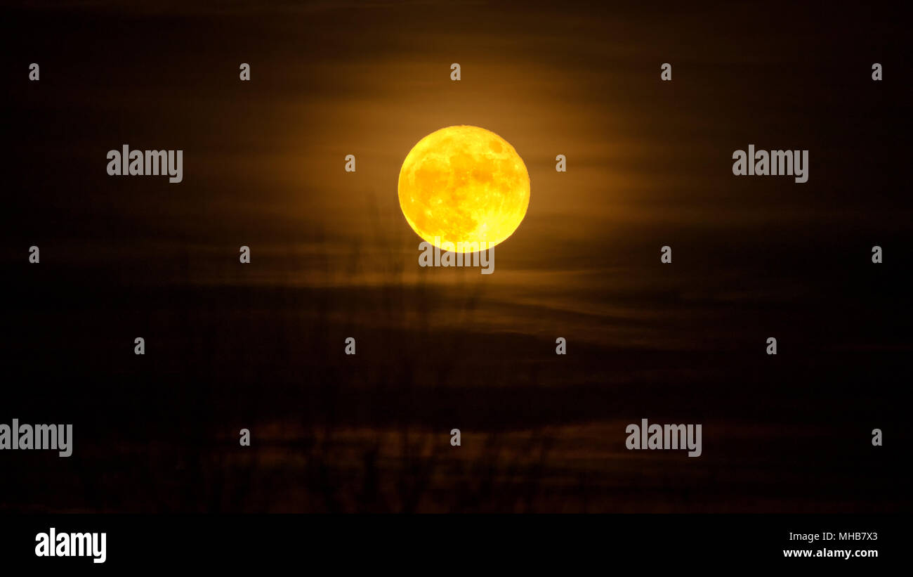 Full december moon hi-res stock photography and images - Alamy