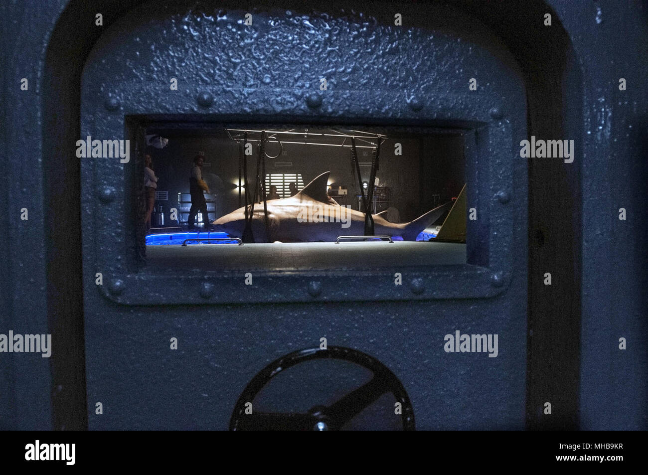 Deep Blue Sea 2 is a direct-to-video science fiction horror film ...