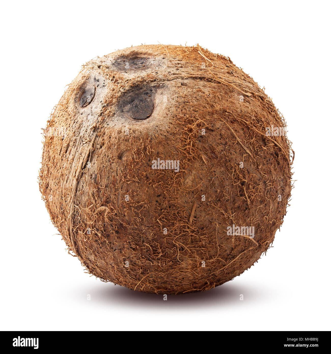coconut whole, isolated on white background, full depth of field Stock ...