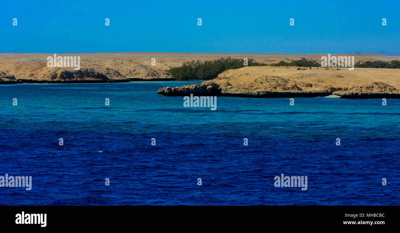 A mango tree among coral reefs in the form of mountains and rocks ...