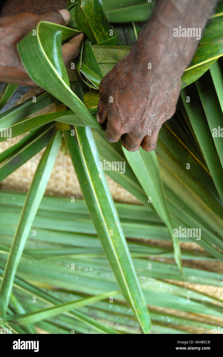 Beginners Weaving Palm Leaves