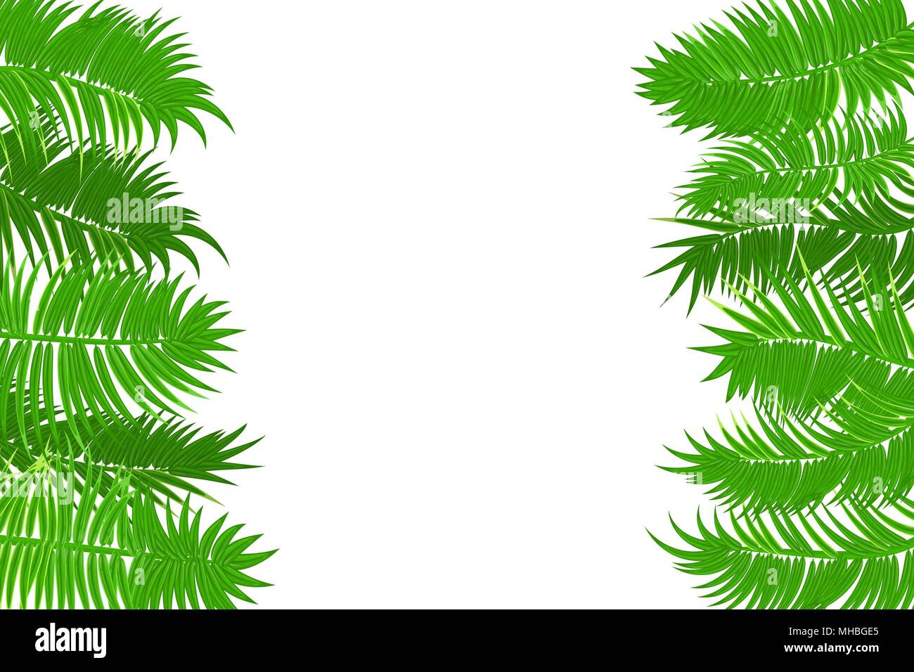 Summer jungle palm leaf frame Stock Vector Image & Art - Alamy