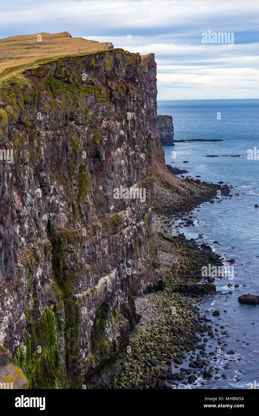 Latrabjarg cliffs in Westfjords, iceland Stock Photo - Alamy