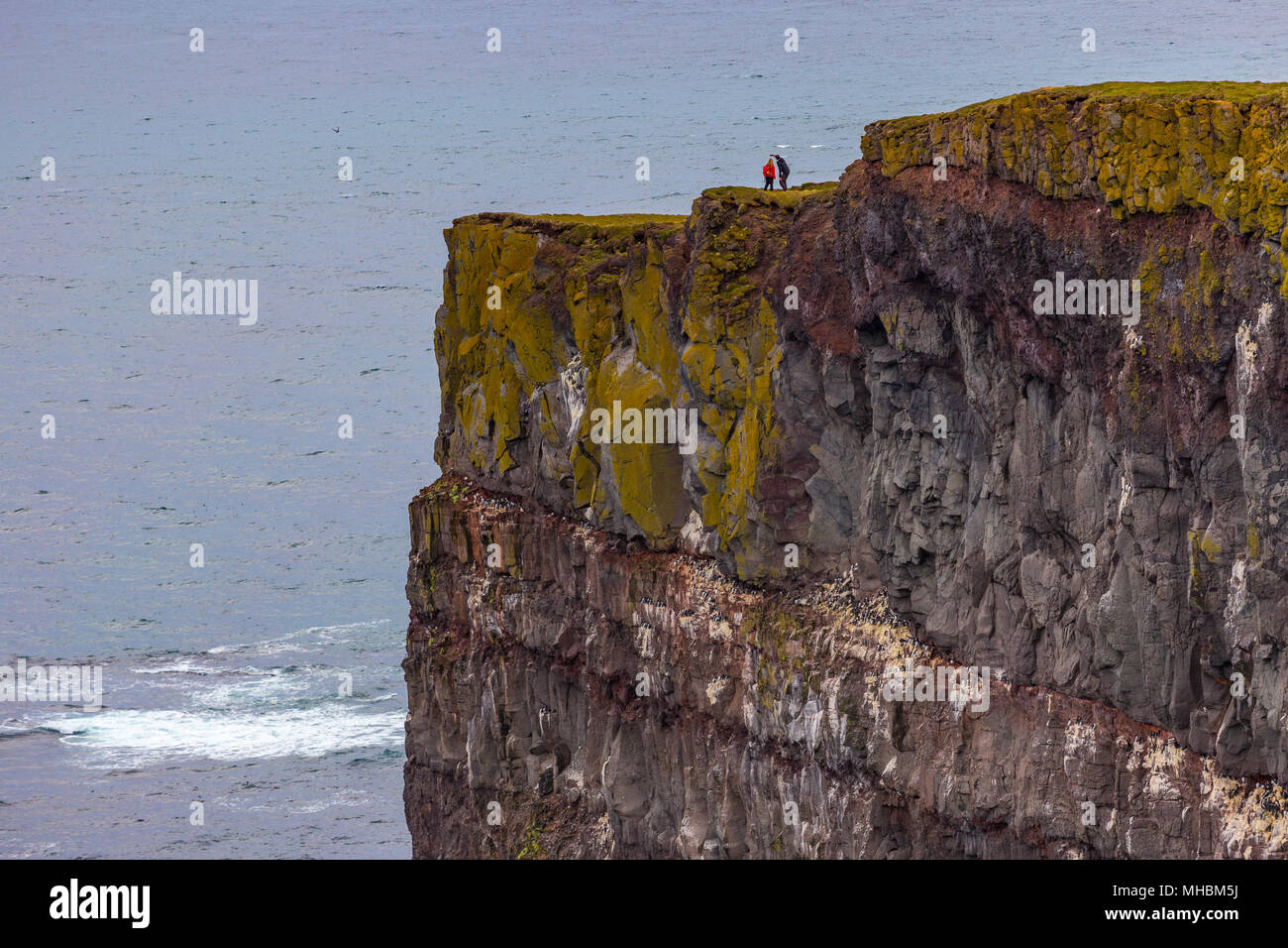Latrabjarg cliffs in Westfjords, iceland Stock Photo - Alamy